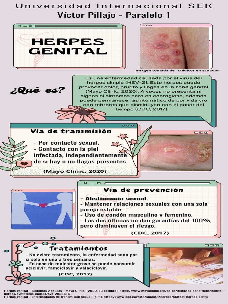 Herpes Simple (HSV-2) - Infografía | PDF