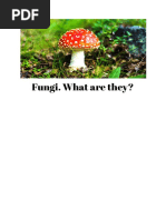 Profile of NSIC RC 160 and 218 | PDF | Crops | Agronomy