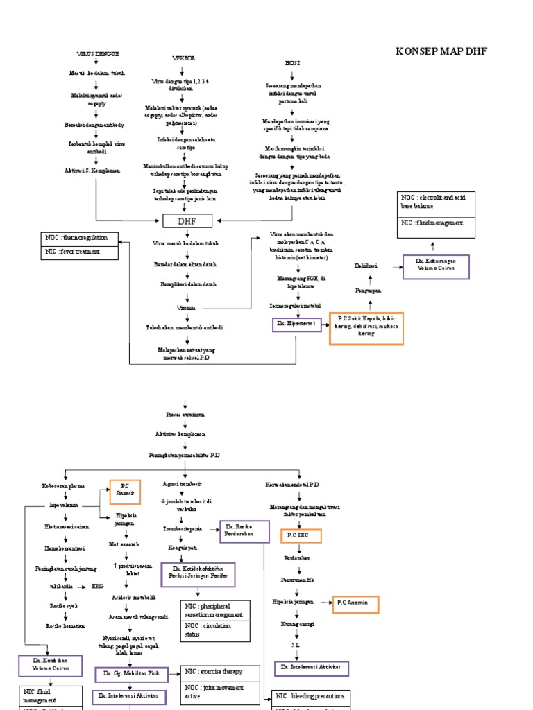 Konsep Map Penyakit Dengue (DHF) | PDF