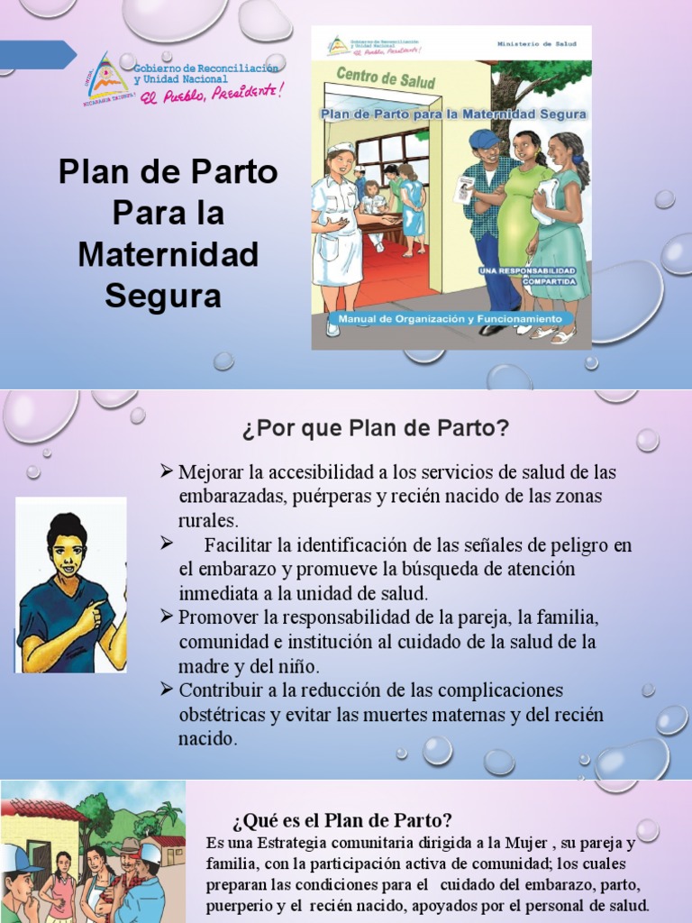 Plan de Parto Dic. 2022 Proyecto VSF | PDF | Muerte materna