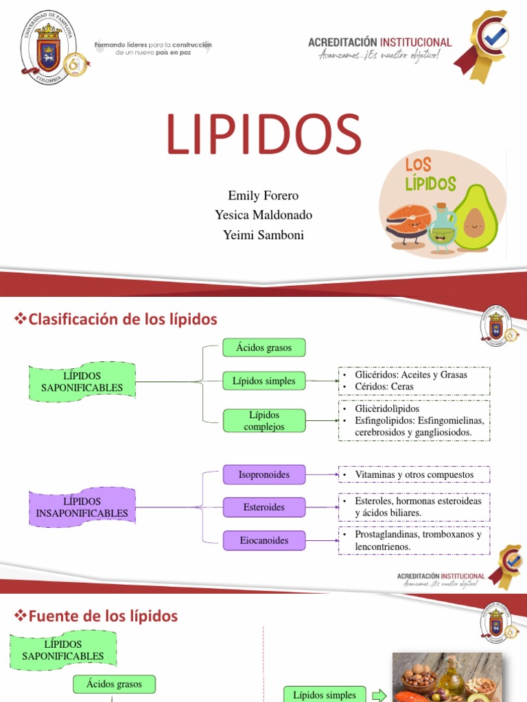 LIPIDOS | PDF
