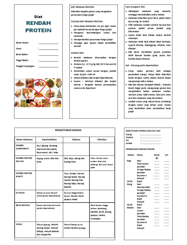 Diet Rendah Protein | PDF