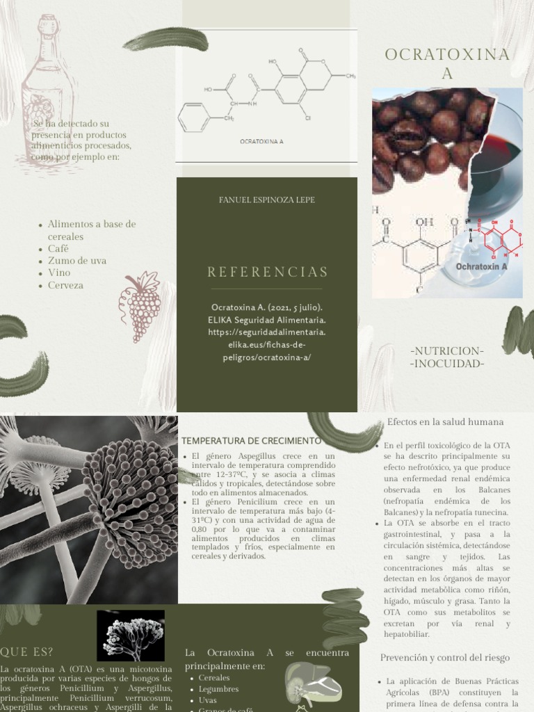 OCRATOXINA A | PDF | Nutrición | Dieta y nutrición