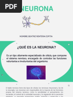 Estructura y Función de la Neurona | PDF | Neurona | Axon