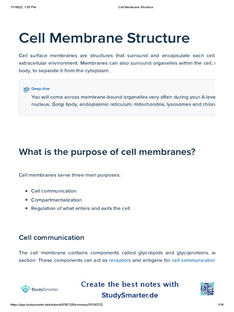 Cell Membrane Structure | PDF | Cell Membrane | Cell (Biology)