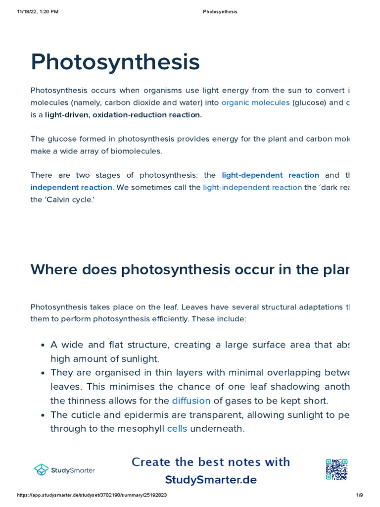 Photosynthesis | PDF | Photosynthesis | Chloroplast