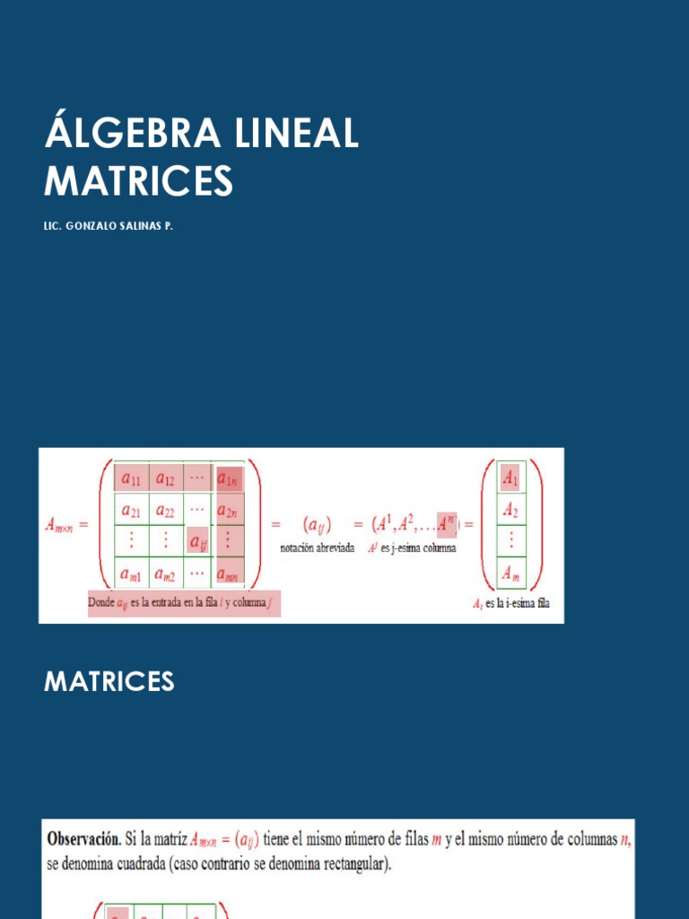 Álgebra Lineal Matrices: Lic. Gonzalo Salinas P | PDF | Matriz ...
