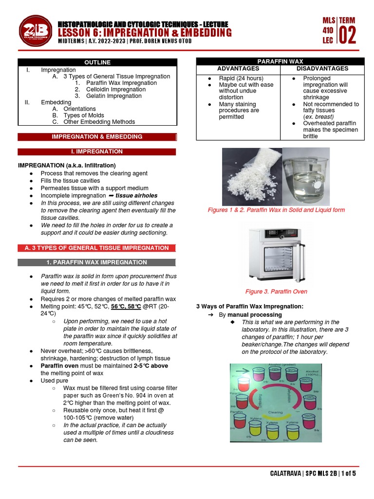 Impregnation & Embedding - SPC MLS 2B - Histopath Lec | PDF | Poly ...