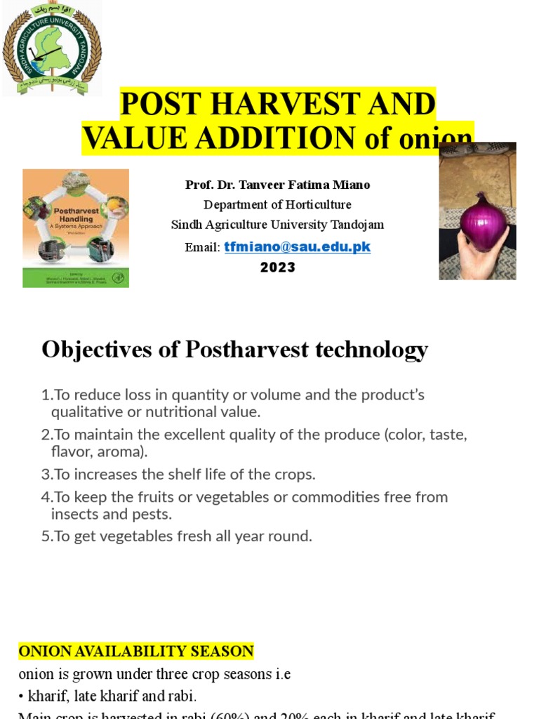 Maximizing Onion Quality and Minimizing Post-Harvest Losses Through Effective Post-Harvest ...