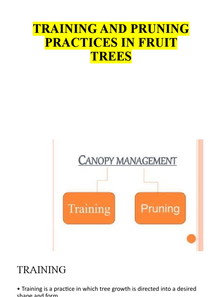 Training and Pruning Practices for Fruit Tree Development and ...
