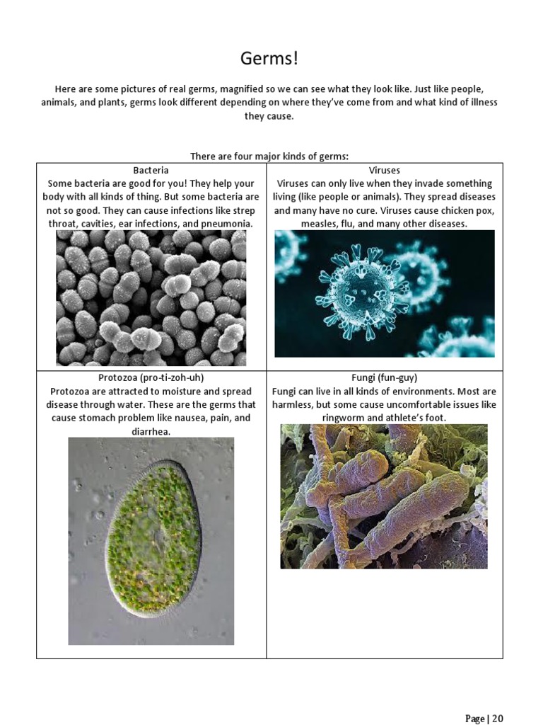Types of Germs and Their Effects | PDF