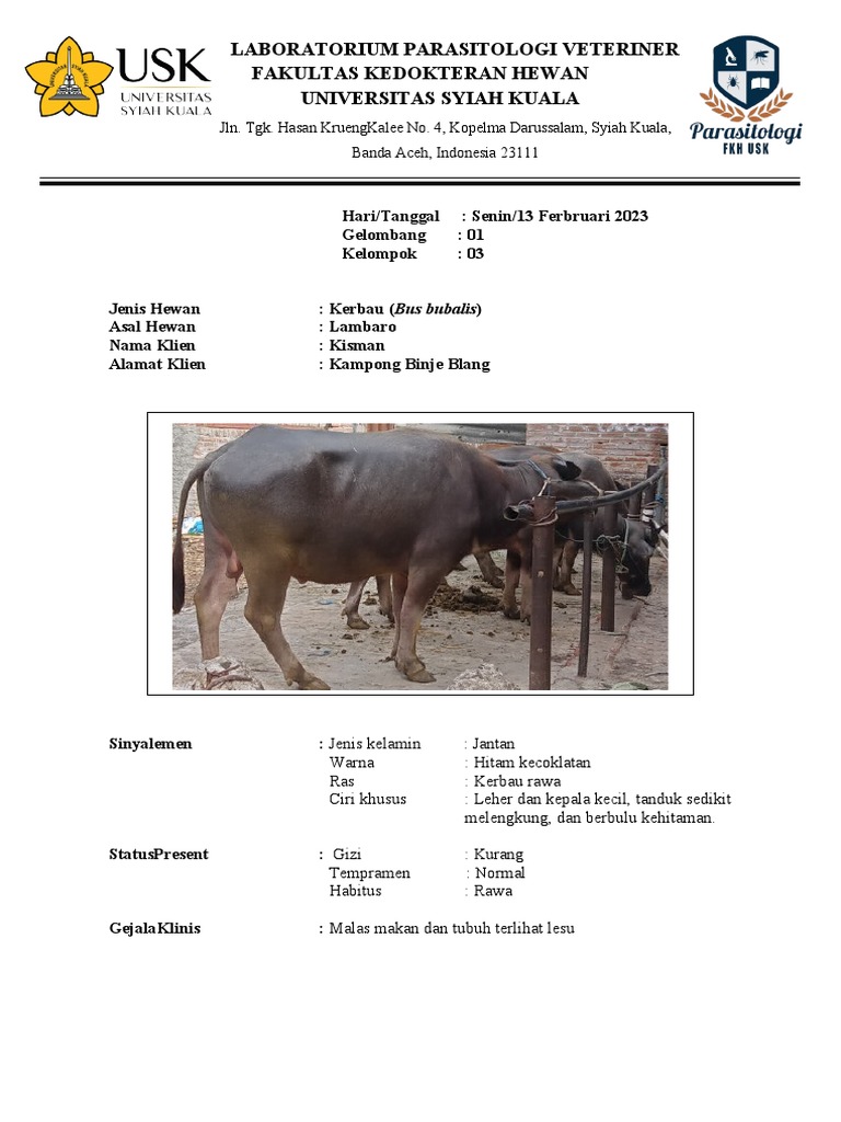 Diagnosa Parasit Kerbau di Banda Aceh | PDF