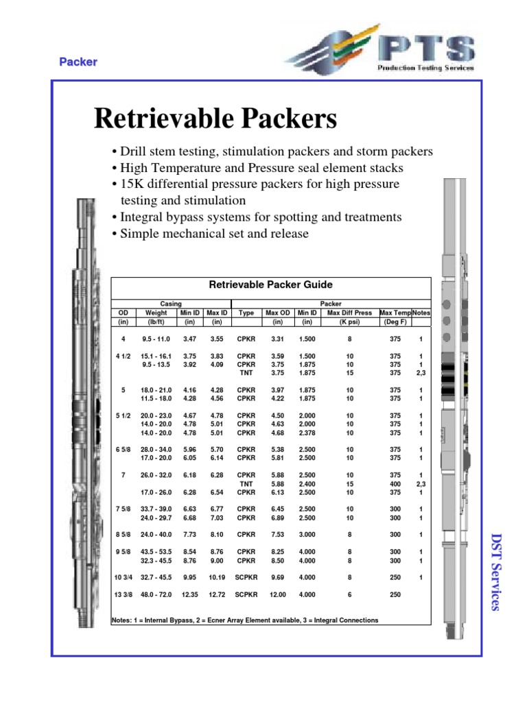 DST Services Packer | PDF | Mechanical Engineering | Physical Sciences