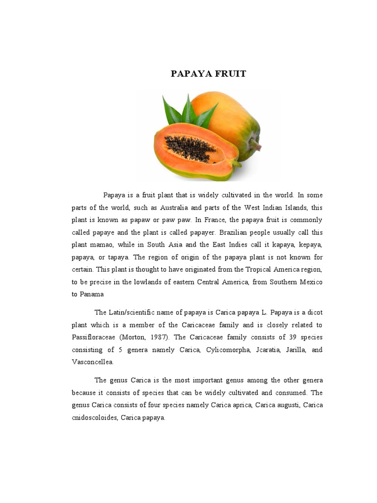 Kel. 9 PAPAYA FRUIT | PDF | Agriculture | Food Ingredients
