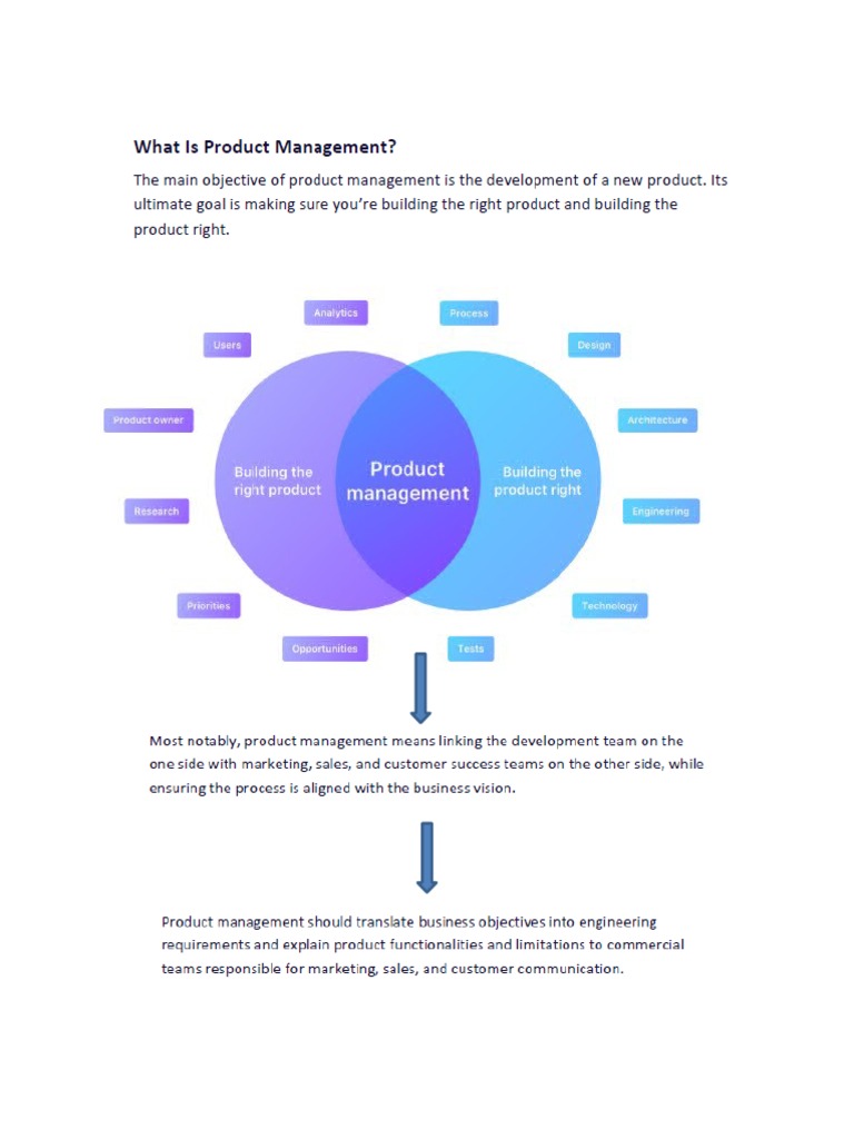 Product Management Lesson | PDF