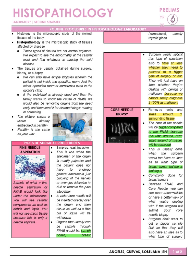Histopathology Lab Lesson 2 | PDF | Biopsy | Histopathology