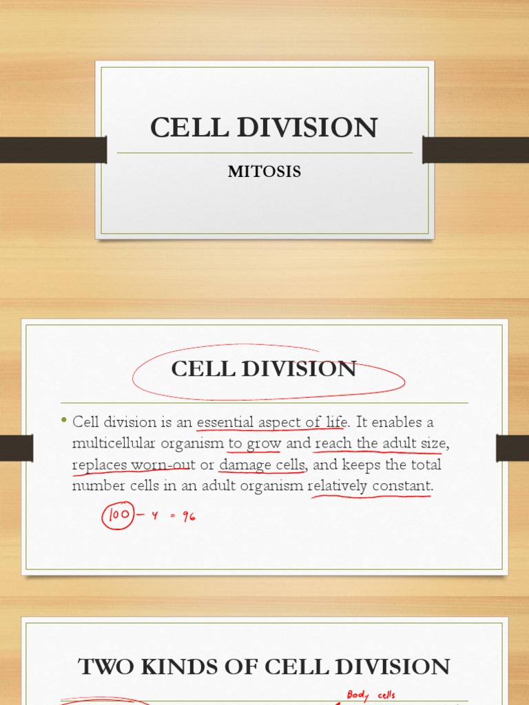 Cell Division Mitosis 29 | Download Free PDF | Mitosis | Cell Cycle