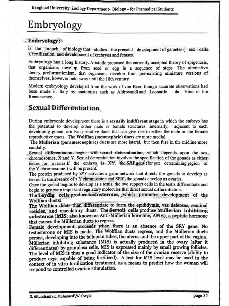 Biology Pre Medical Embryology | PDF