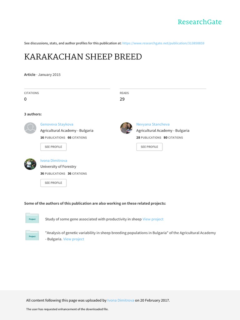 Karakachan Sheep Breed | PDF