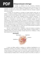 TO ΟΥΡΟΠΟΙΗΤΙΚΟ ΣΥΣΤΗΜΑ-ΑΝΑΤΟΜΙΑ | PDF