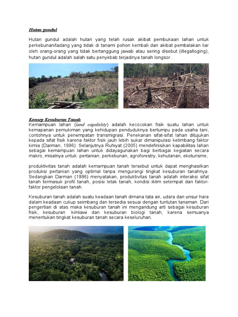 Hutan Gundul | PDF