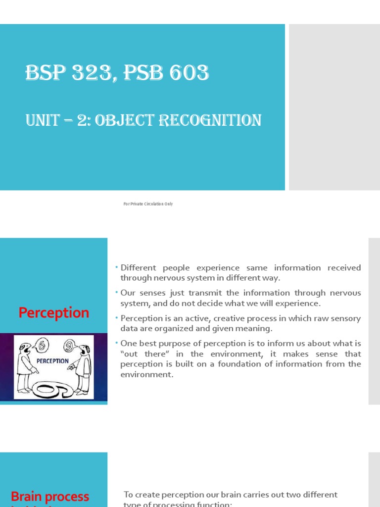 Object Recognition | PDF | Perception | Nervous System