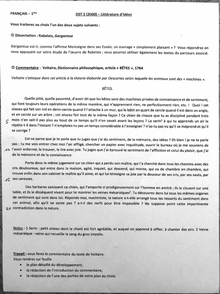 Sujet de Commentaire Et de Dissertation Français 1ere | PDF