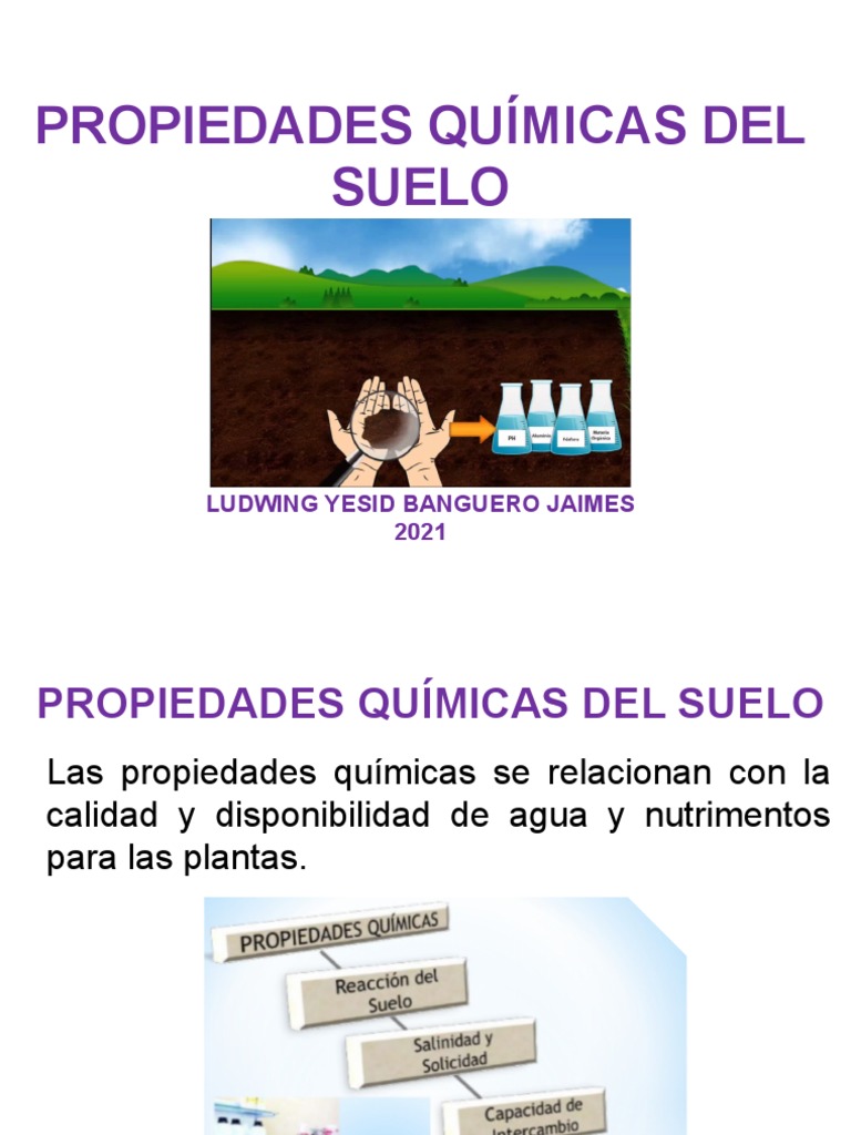 Propiedades Quimicas Del Suelo | PDF | Química Física | Naturaleza