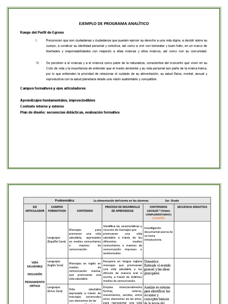 EJEMPLO DE PROGRAMA ANALÍTICO | PDF | Obesidad | Sociedad