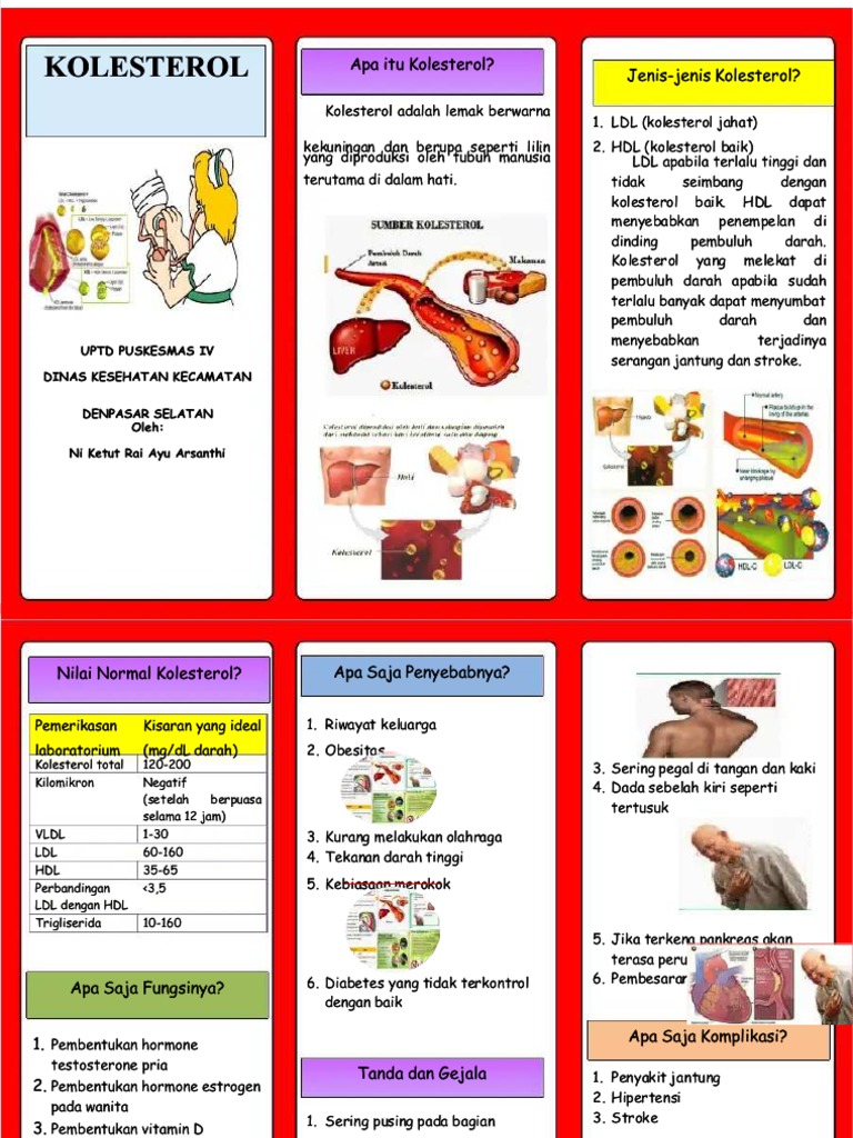 PDF Leaflet Kolesterol Ok - Compress | PDF