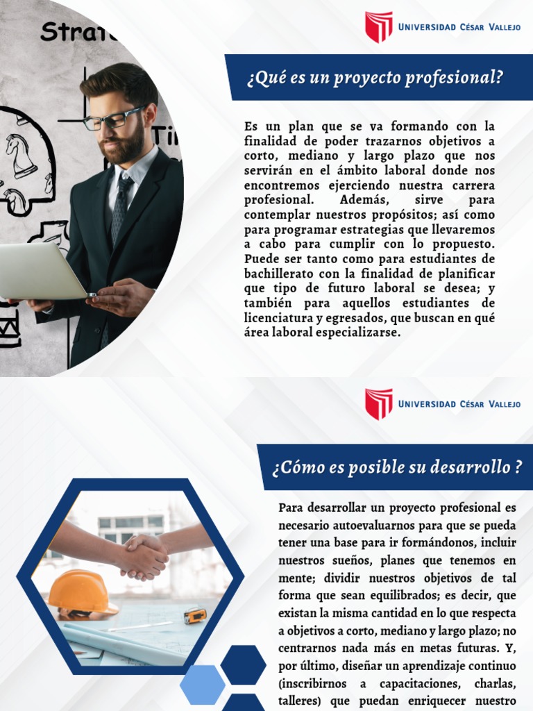 ¿Qué Es Un Proyecto Profesional? | PDF