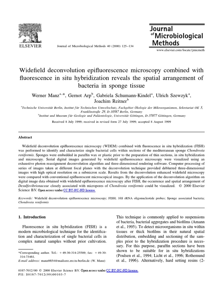 Widefield Deconvolution Epifluorescence Microscopy Combined With | PDF ... Widefield Deconvolution Epifluorescence Microscopy Combined With | PDF ...