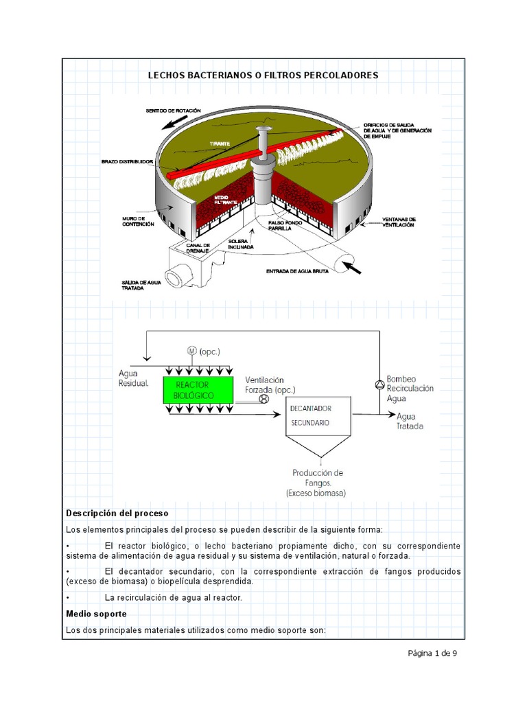 Semana 12- Lechos Bacterianos | PDF | Alcantarillado | Sector ...