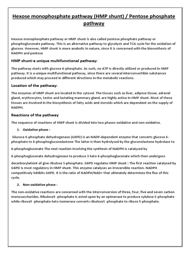 Hexose Monophosphate Pathway (HMP Shunt) / Pentose Phosphate Pathway | PDF | Metabolic Pathway ...