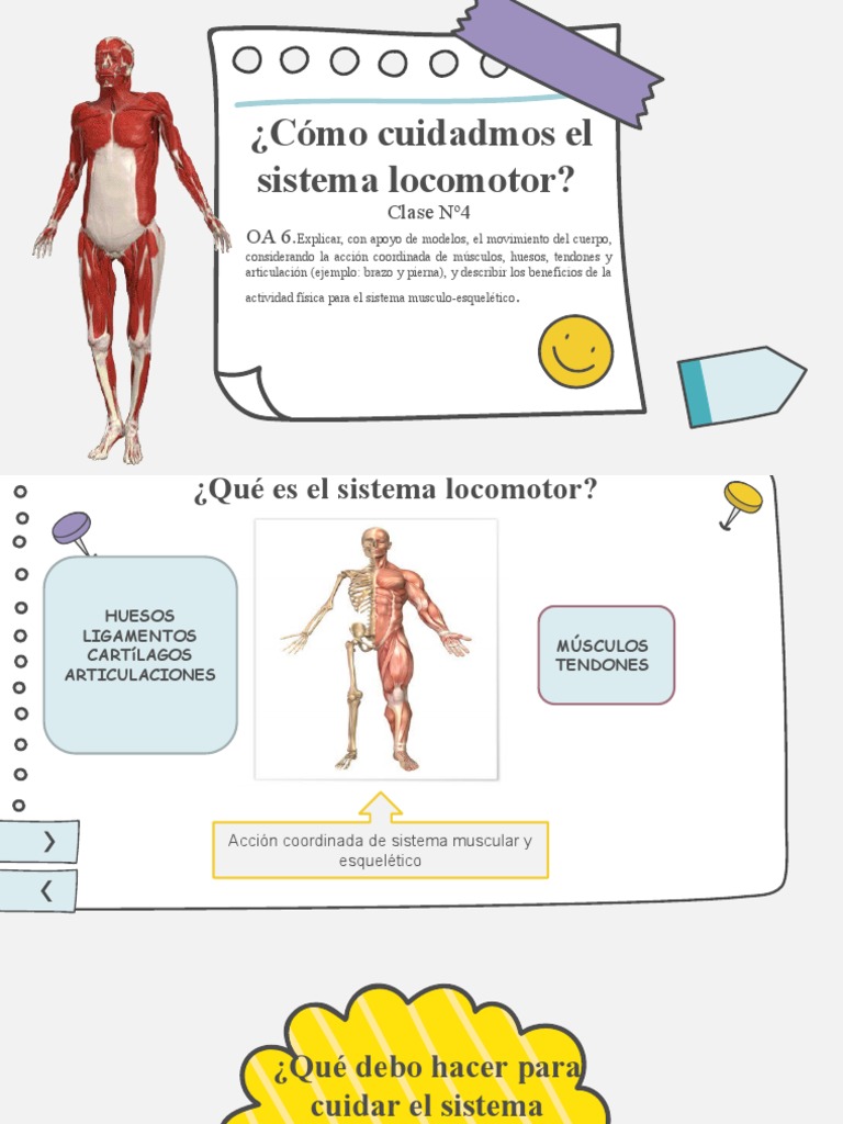 Cuidados Del Sistema Locomotor Para Nios De Primaria Hbitos De Nios
