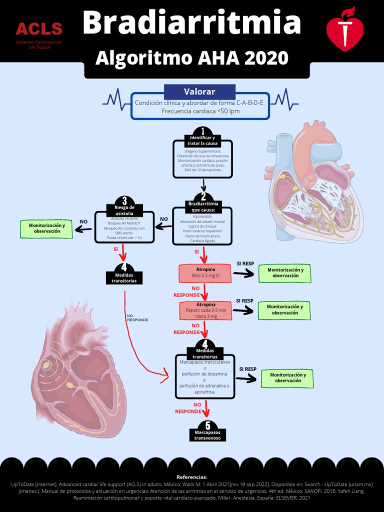 Algoritmo Bradiarritmia | PDF | Enfermedades cardiovasculares | Sistema cardiovascular