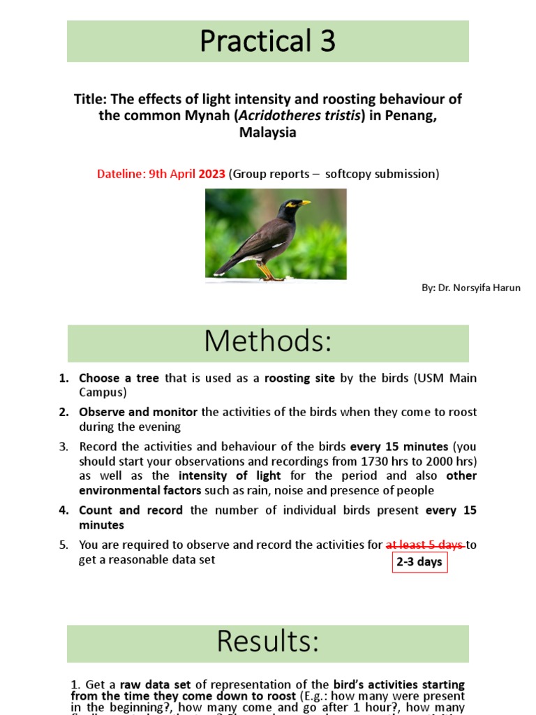 Practical 3 - Birds 2023 IK | PDF | Birds | Ornithology
