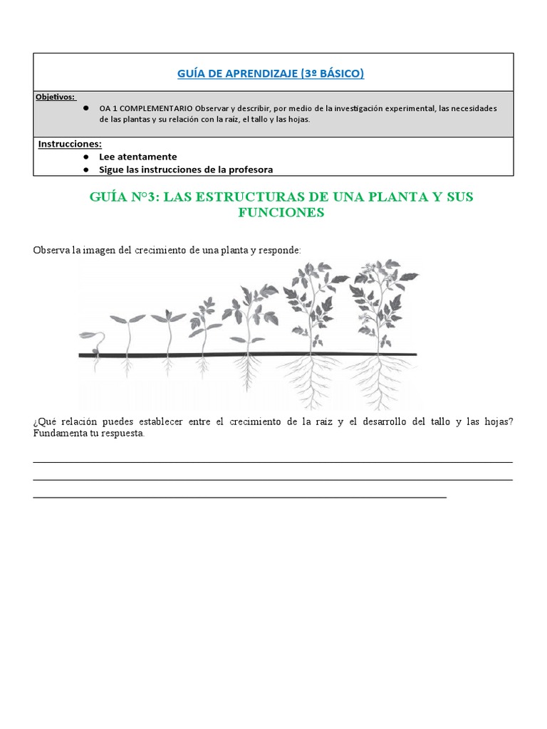 Necesidades de las Plantas y Estructuras | PDF | Crecimiento personal y ...