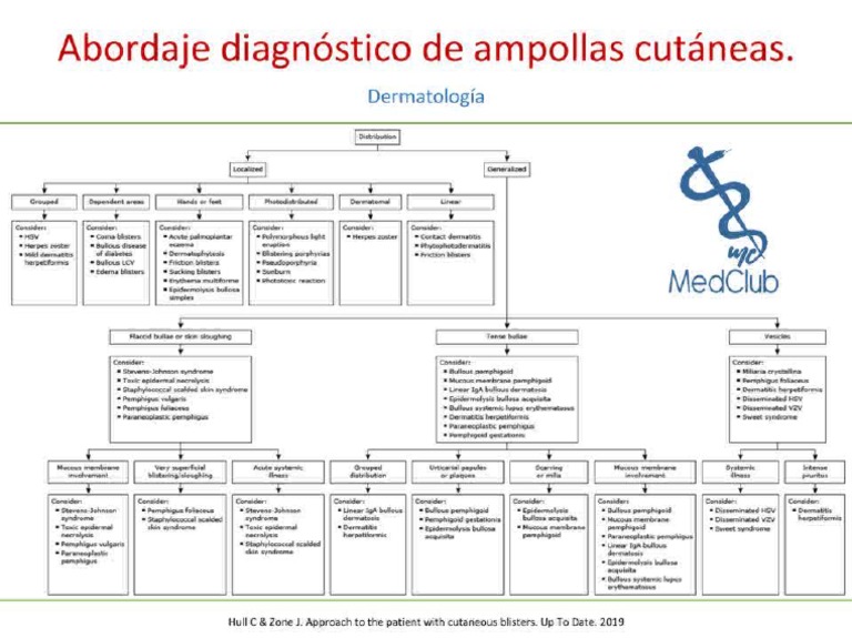 Abordaje Diagnóstico de La Ampollas Ámpulas | PDF