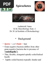 Slit Skin Smear Test Guide | PDF | Leprosy | Cytopathology