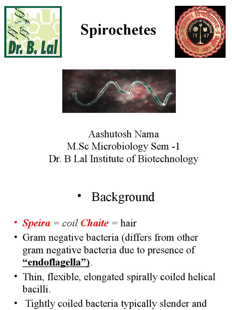 Spirochetes: Aashutosh Nama M.SC Microbiology Sem - 1 Dr. B Lal ...