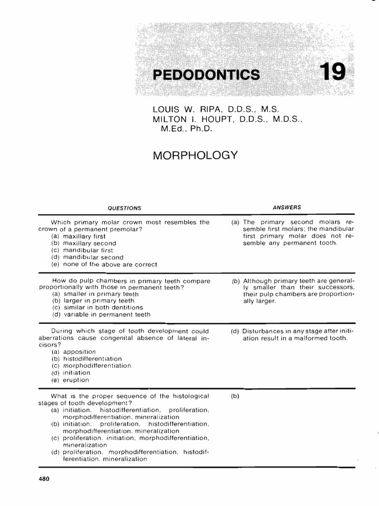 02 38 Pedo | PDF