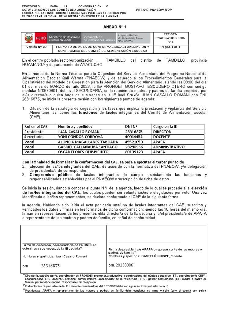 Protocolo Conformación o Actualización CAE 2022-2023 | PDF | Perú