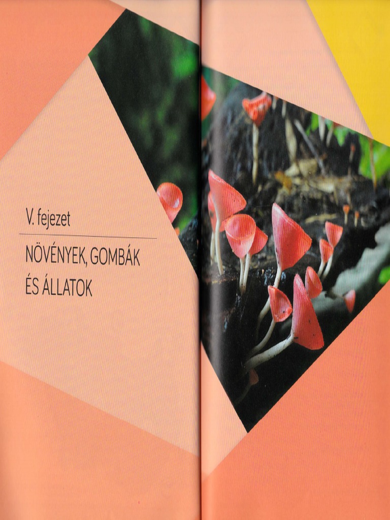 5.fejezet Biológia Feladatok | PDF