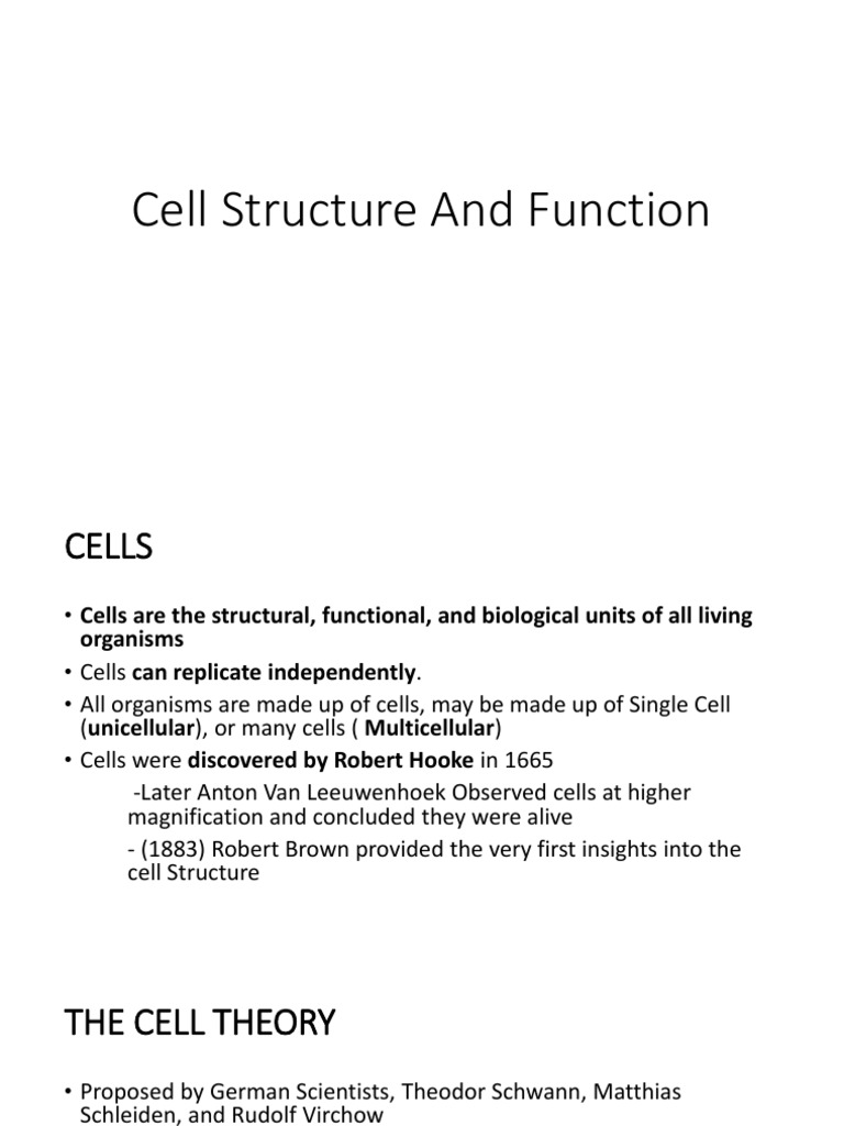 Cell Structure and Function (JIGSAW) | PDF | Cell (Biology) | Prokaryote