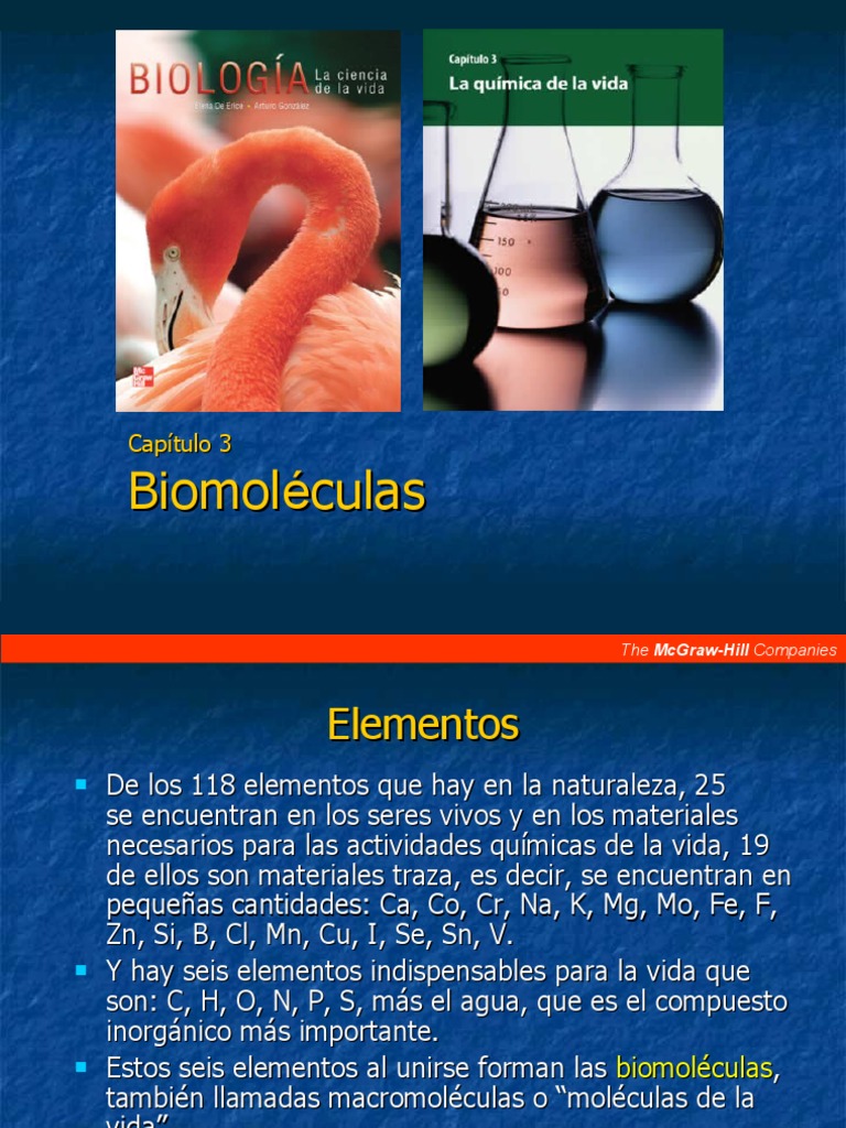 Biomol É Culas | PDF | Biomoléculas | Carbohidratos
