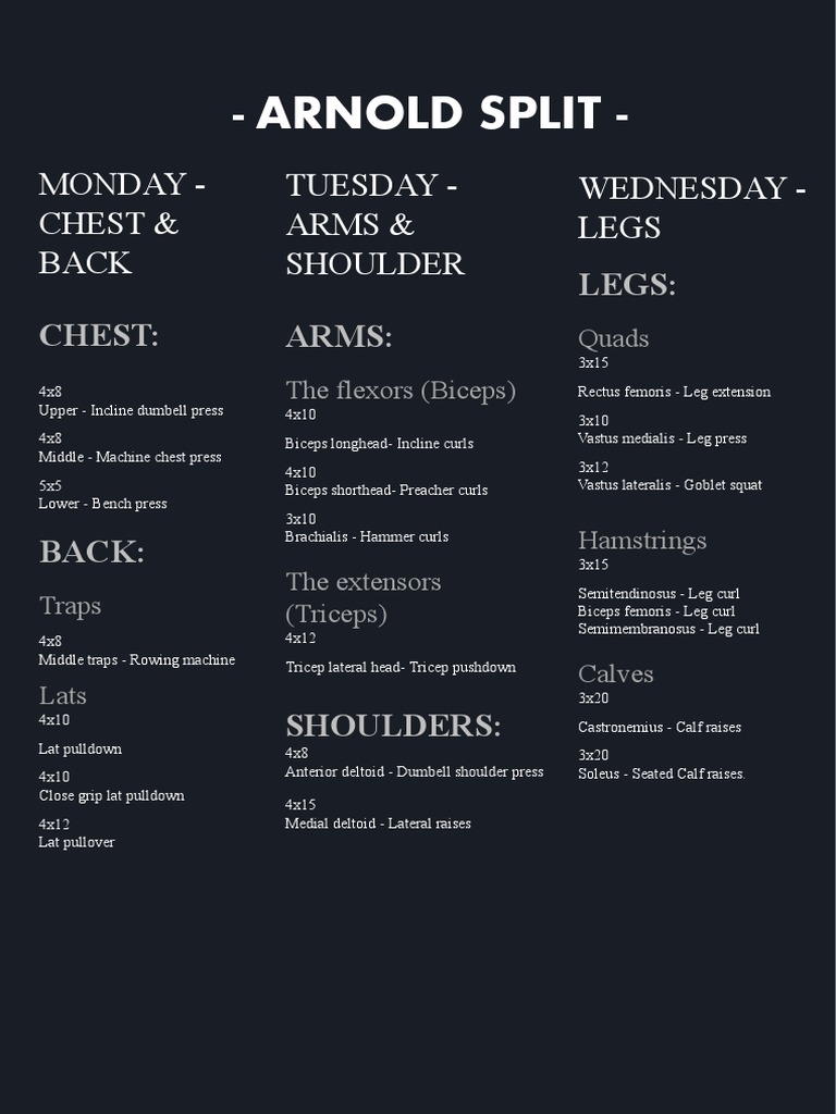 Arnold Split Half | PDF