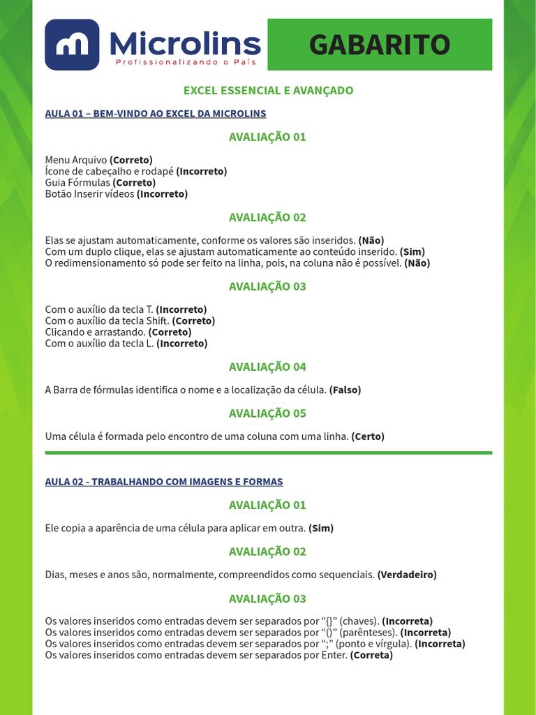 Office Microlins Excel | PDF | Macro (Ciência da Computação ...