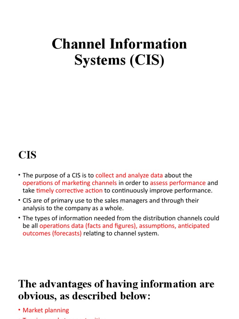 Channel Information System Overview | PDF | Sales | Inventory