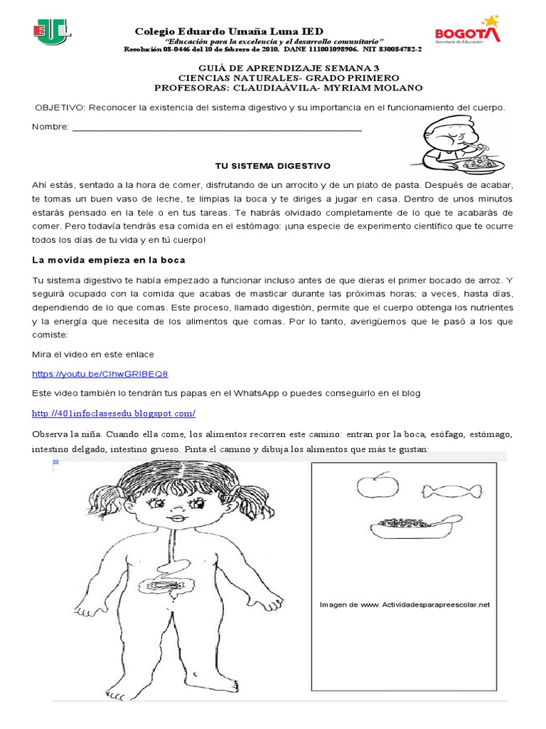 Guiá de Aprendizaje Semana 3 | PDF | Sistema digestivo humano | Digestión Guiá de Aprendizaje Semana 3 | PDF | Sistema digestivo humano | Digestión